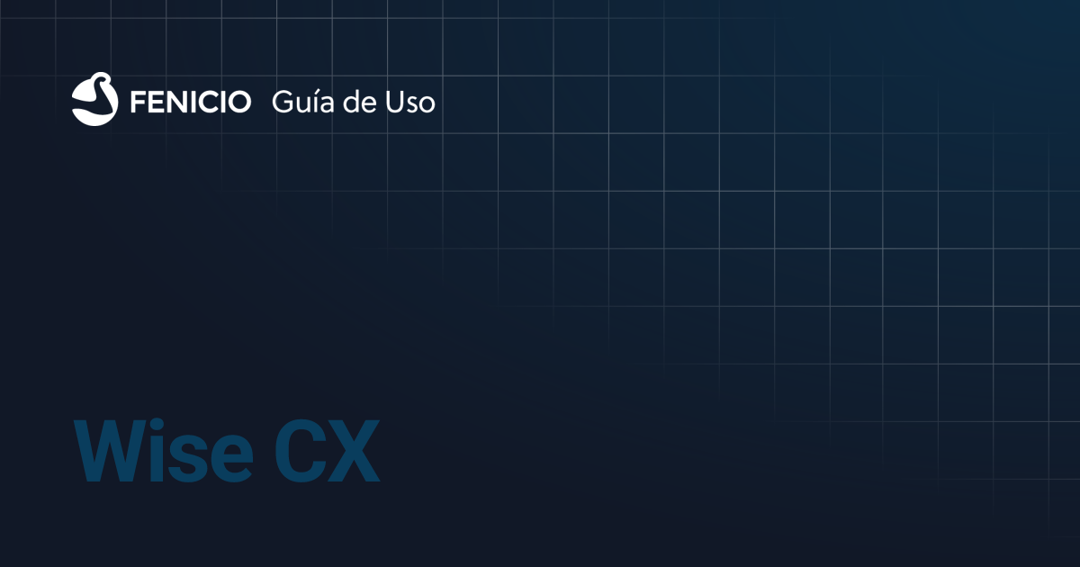 Wise CX | Guía de uso Fenicio eCommerce